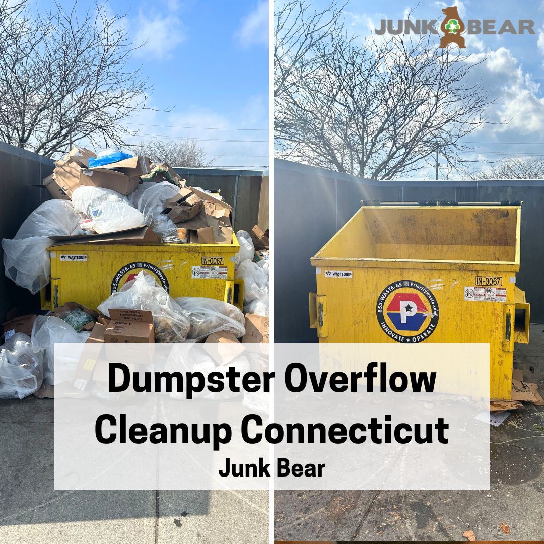 Dumpster Overflow Cleanup Connecticut | Junk Bear