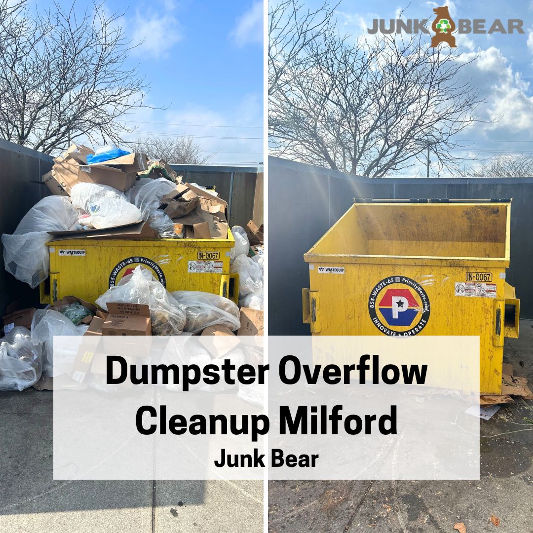 Dumpster Overflow Cleanup Milford | Junk Bear